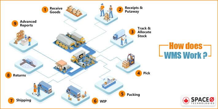 What is Warehouse Management System? [4 Types of WMS]