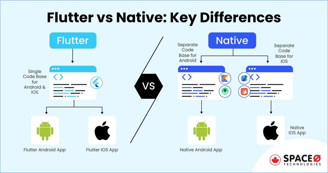 Flutter vs Native: Which is the Best to Develop Your App?